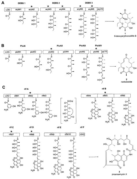 Native Polyketide Synthase Pathways Used To Generate Hybrid Systems In