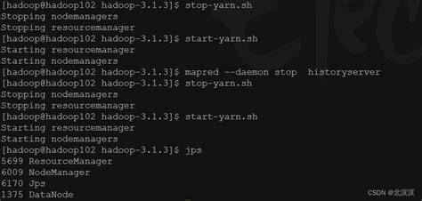 （九）大数据实战——hadoop集群的历史服务器配置与日志聚集 hadoop历史服务 csdn博客