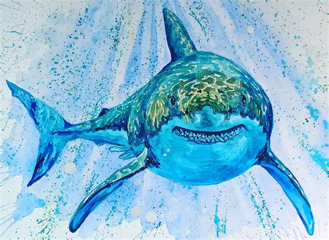 Shark Original Colour