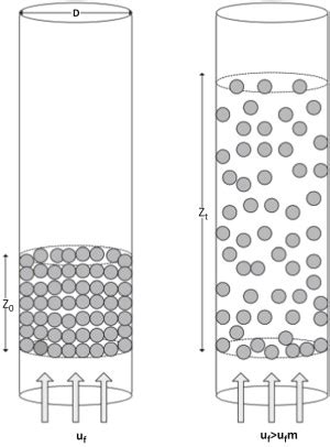 Ion Exchange Resins The Backbone Of Modern Separation Techniques