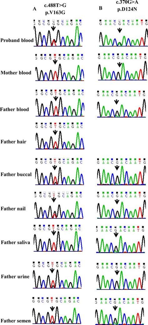 Mosaicism And Incomplete Penetrance Of Pcdh19 Mutations Journal Of