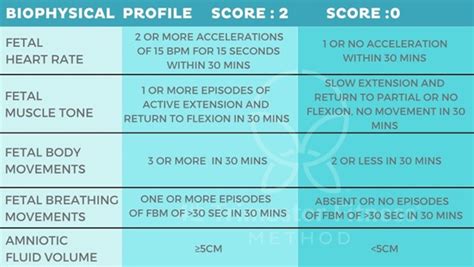 Fetal Non Stress Test Nst Exams Naxlex Nursing