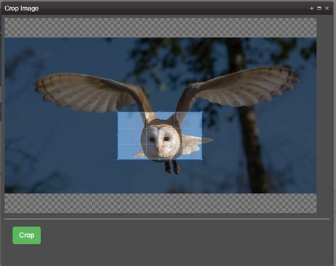 Github Parush Imagecropper It Is Asp Net Implementation Of The Cropper Plugin