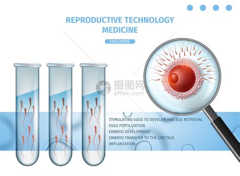 培育受精卵试验矢量设计模板插画图片下载 正版图片305969314 摄图网