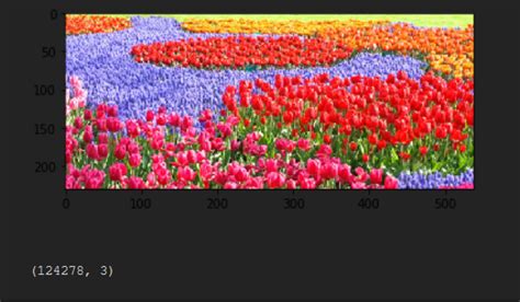 GitHub Ronny 22 Code Color Extraction And Image Segmentation This