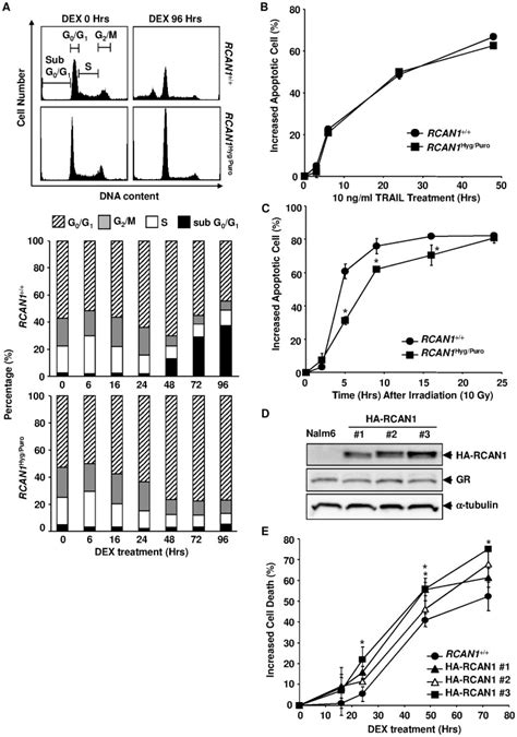 A Flow Cytometric Profiles Of DNA Content After The GC Treatment Download Scientific Diagram