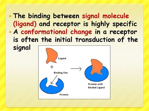 Cell Communication Ppt Download