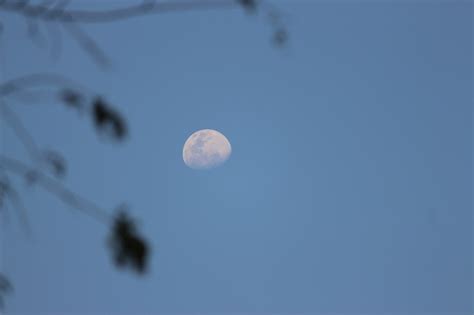 The 50 Greatest Poems About Sex