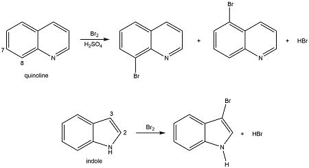 The Bicyclic Heterocycles Quinoline And Indole Undergo Electrophilic