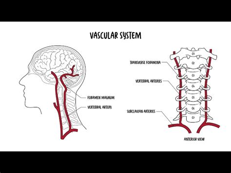 Emphysema Introduction Types Symptoms Diagnosis Youtube