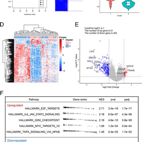 Molecular Subtype Analysis A Cumulative Distribution Function Plot