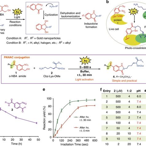 Examples Of Linkers And Cleavage Conditions A Hydrazone B
