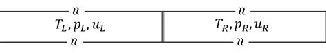 Computational Domain And Initial Conditions For 1d Riemann Problem For