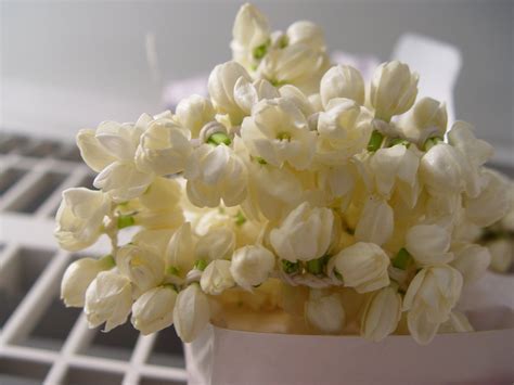 Flower Strings In Alandur Chennai Flower Factory Id 3708518155 Flower Strings In Alandur Chennai Flower Factory Id 3708518155
