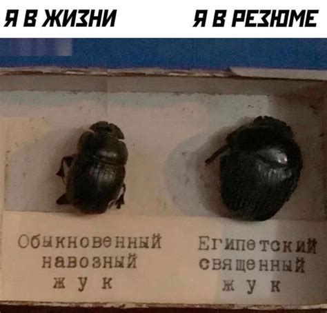 Евгений Гусинец в Linkedin It Qa тестирование тестировщик Testing Tester