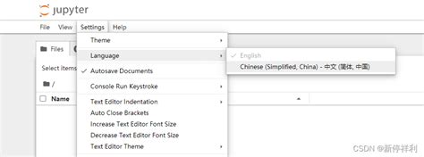 Jupyter 界面汉化jupyter 中文 Csdn博客