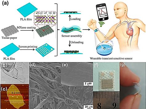 Figure 10 From Advancements In MXene Polymer Nanocomposites In Energy Storage And Biomedical