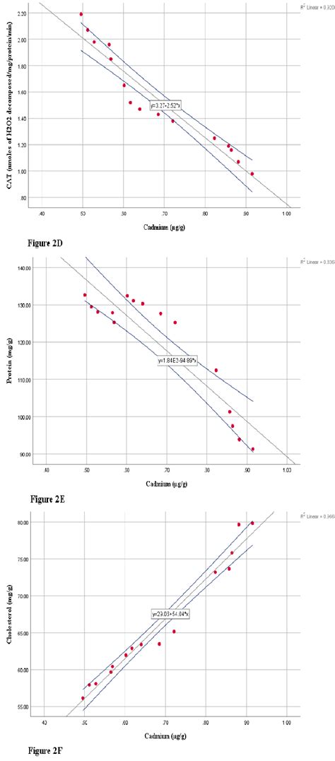 Pearsons Bivariate Correlation And Simple Linear Regression Analysis Download Scientific