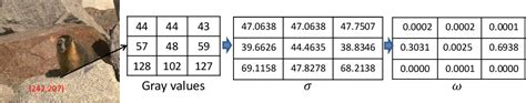 figure 1 from graph based image segmentation using weighted color patch