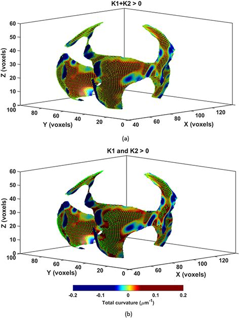 A Gas‐oil Interface Colored Based On The Total Curvature Values With