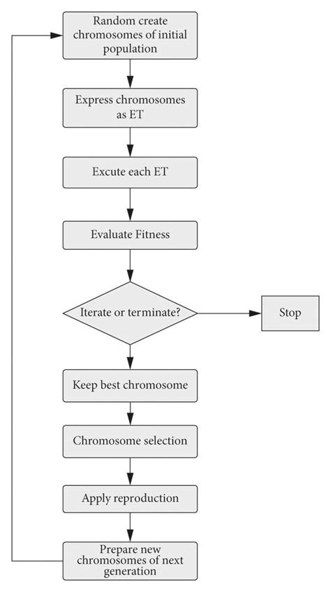Flowchart Of The Gep Algorithm Download Scientific Diagram