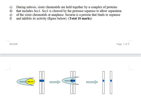 Solved B1 Answer All Of The Following Sub Questions
