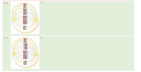 solved answer questions 9 and 10 do not solve the others