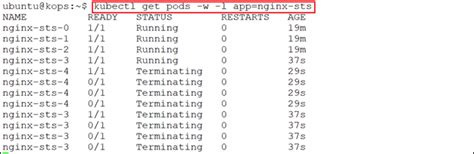 Prioritizing Data A Proven Journey With Statefulsets In Kubernetes Cloudthat Resources