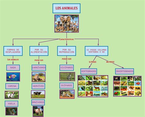 SEXUALIDAD MAPA CONCEPTUAL