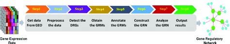 Time Course Gene Expression Analytic Pipeline Download Scientific