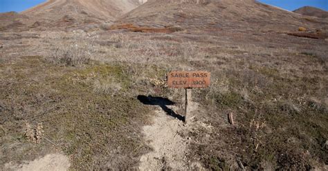 Sable Pass Look For Bears Wolves And Caribou Mile Alaskaorg