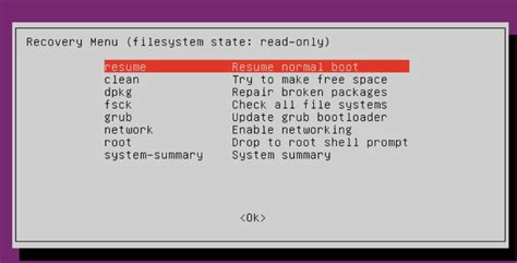 hướng dẫn khôi phục grub boot loader ubuntu 18 04 sử dụng rescue mode