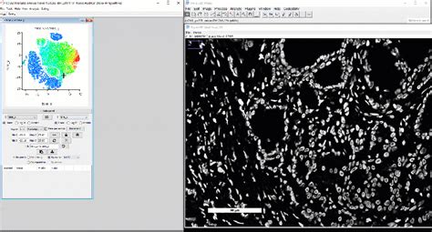 Codex Software Suite Unlocks The Power Of Single Cell Spatial Analysis