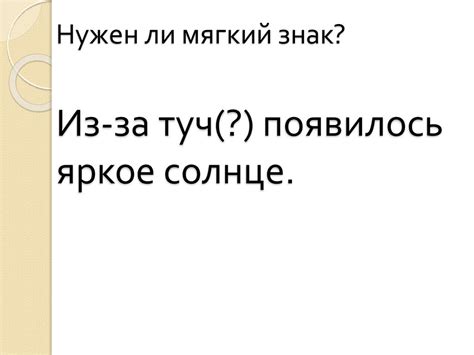 Мягкий знак на конце имён существительных после шипящих презентация онлайн