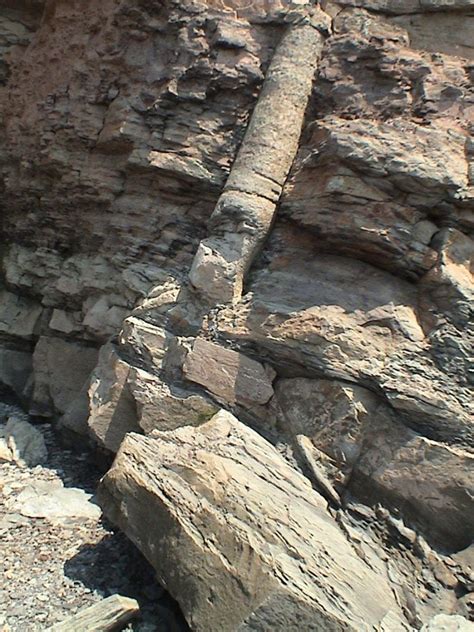 About Polystrate Fossils Ianjuby