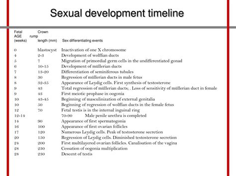 PPT CHAPTER PowerPoint Presentation Free Download ID