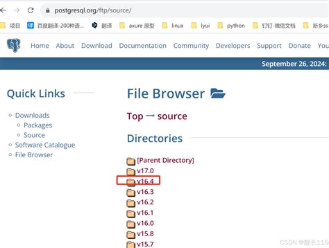 postgresql 16 4安装 csdn博客
