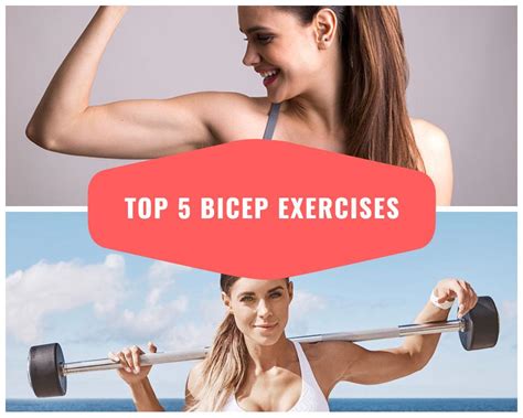 Top Bicep Exercises Sports Wholesale Supply