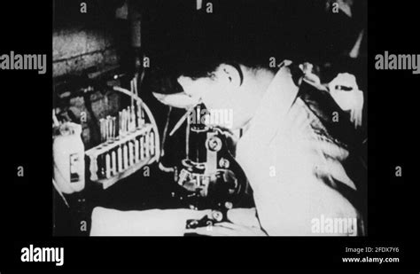 Typhoid Bacteria Stock Videos And Footage Hd And 4k Video Clips Alamy