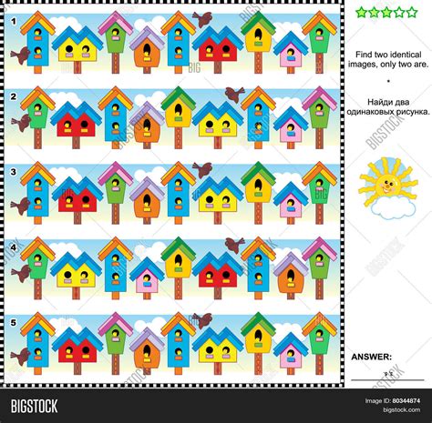 Visual Riddle Find Vector And Photo Free Trial Bigstock
