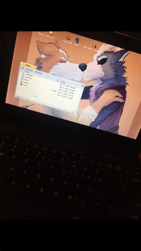 Installed Haiku On My Old Acer Netbook For Fun Works Faster Than Linux 3 R Haikuos