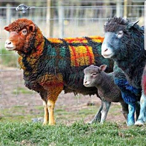 Saifur Rehman On Linkedin Future Development Sustainabledevelopment