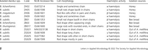 Cell Morphology And Haemolytic Characteristics Of Bacillus Spp Download Scientific Diagram