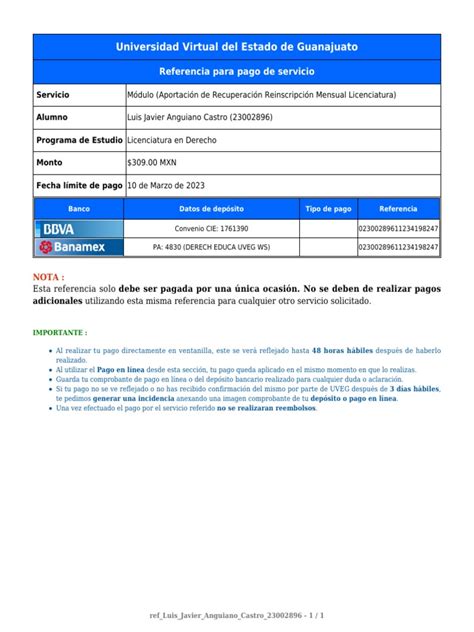 Ref Luis Javier Anguiano Castro 23002896 Pdf