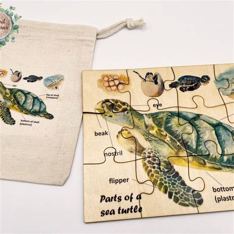 Turtle Puzzle Etsy