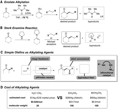 Regioselective ketone α alkylation with simple olefins via dual