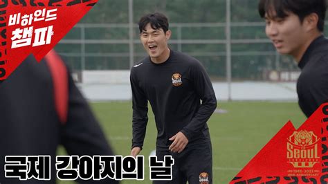 비하인드 챔파 집으로 돌아온 강아지들과 함께 GS 챔피언스파크 훈련 YouTube