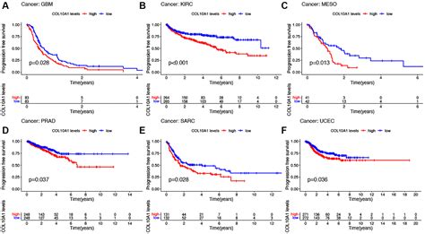 experimental validation and pan cancer analysis identified col10a1 as a