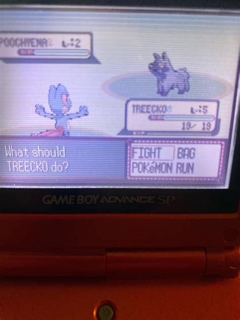 [gen3] Shiny Treecko Just In Time For Safari Week R Shinypokemon