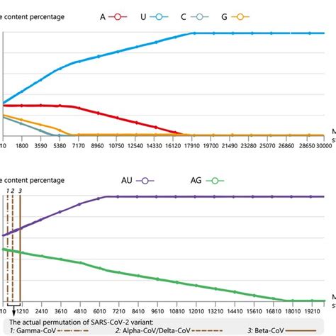 The Mutation Simulation Flowchart Of Sars Cov 2 Download Scientific Diagram